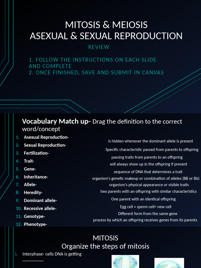 MITOSIS & MEIOSIS Review | PDF