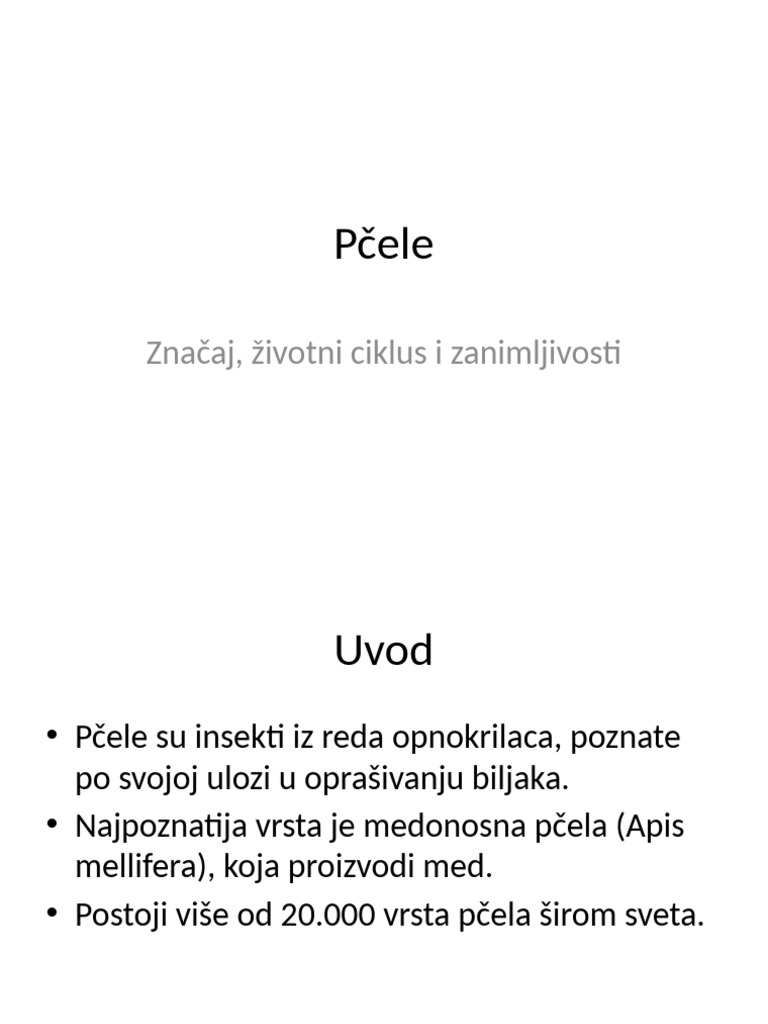 Pcele Prezentacija | PDF