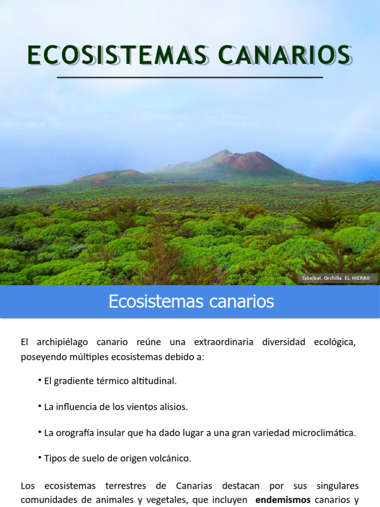 Anexo Ud3 - Ecosistemas Canarios | PDF | Islas Canarias | Ecosistema