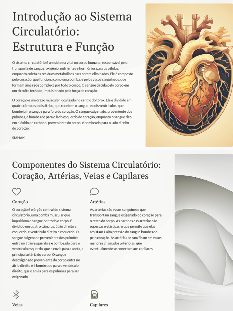 Introducao Ao Sistema Circulatorio Estrutura e Funcao | PDF | Sistema ...