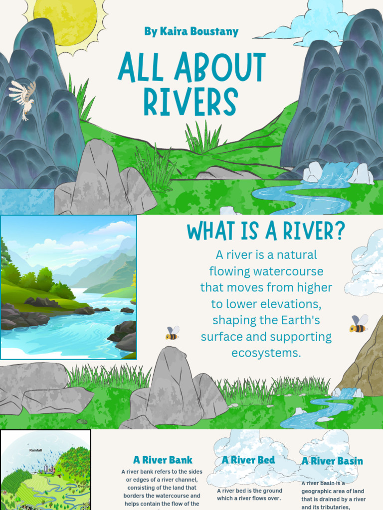 Understanding Rivers: Types and Features | PDF | River Delta | River