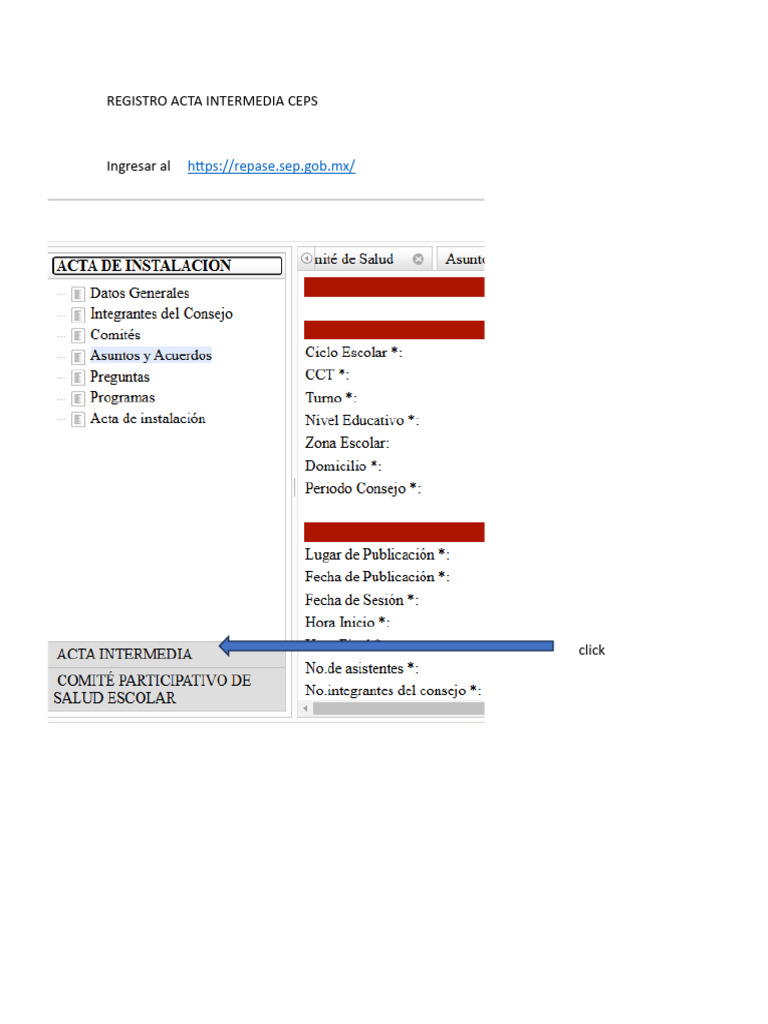 Registro Acta Intermedia Ceps | PDF
