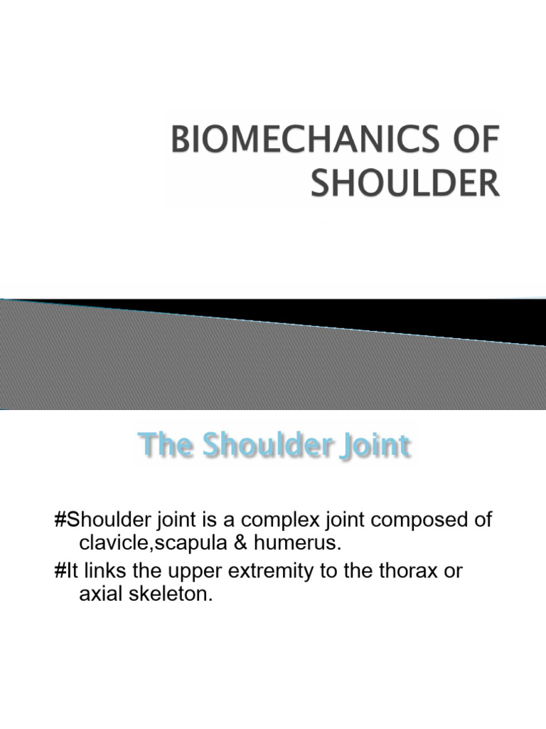 Shoulder | PDF | Anatomical Terms Of Motion | Musculoskeletal System