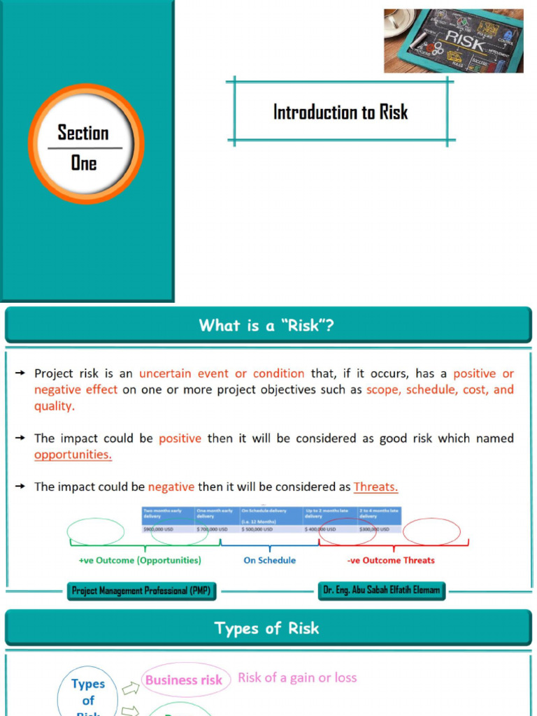 Risk Management | PDF