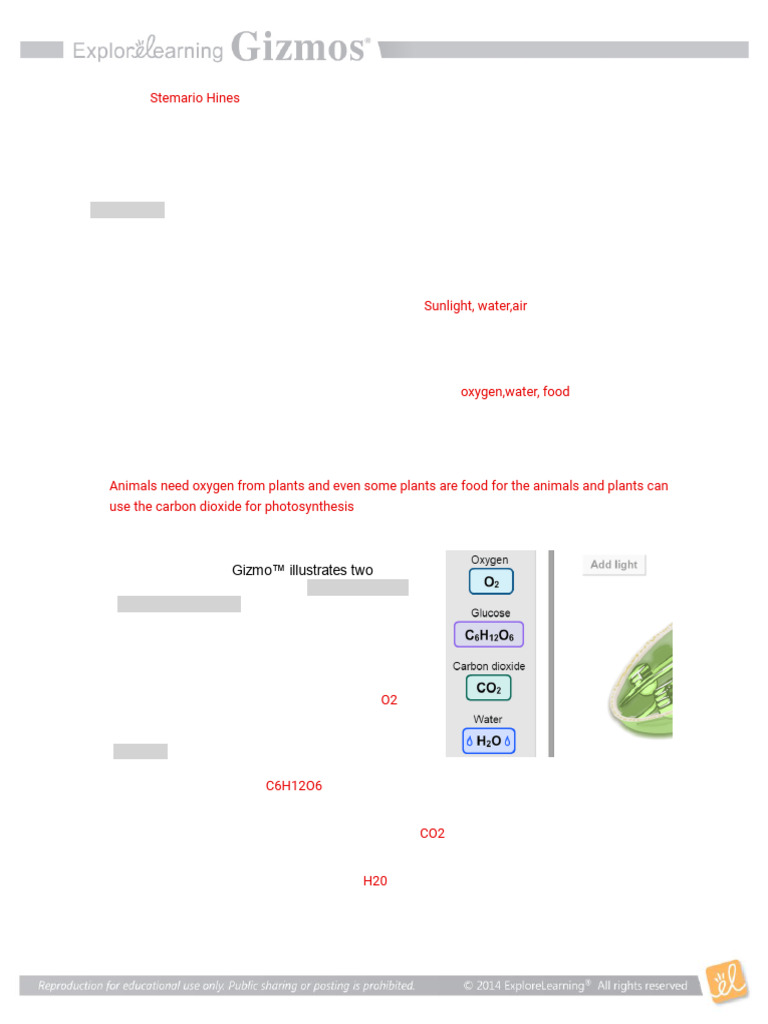 Kami Export - Gizmo - Cell Energy Cycle | PDF | Cellular Respiration ...