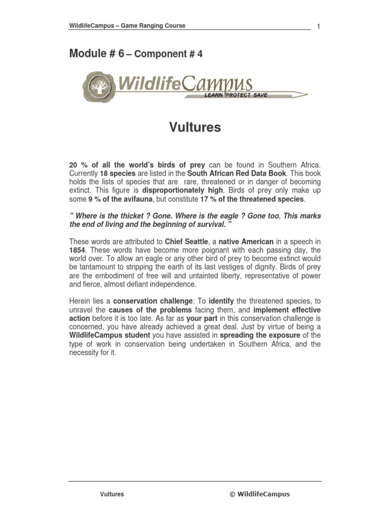 Vultures | PDF | Birds | Ornithology