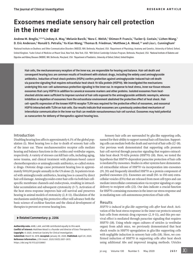 Exosomes Mediate Sensory Hair Cell Protection | PDF | Integrin | Cell ...