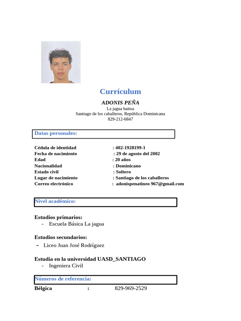 Currículum de Adonis Peña | PDF