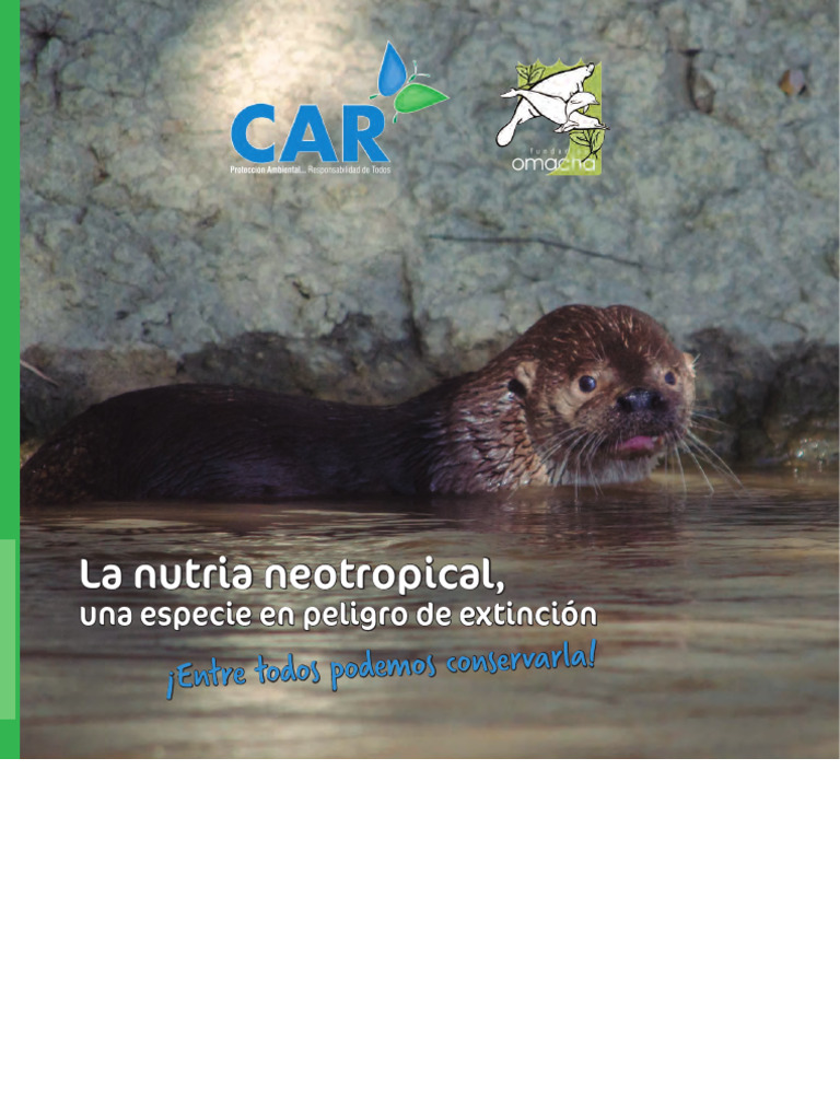 Cartilla Nutria | PDF | Nutria | Agua
