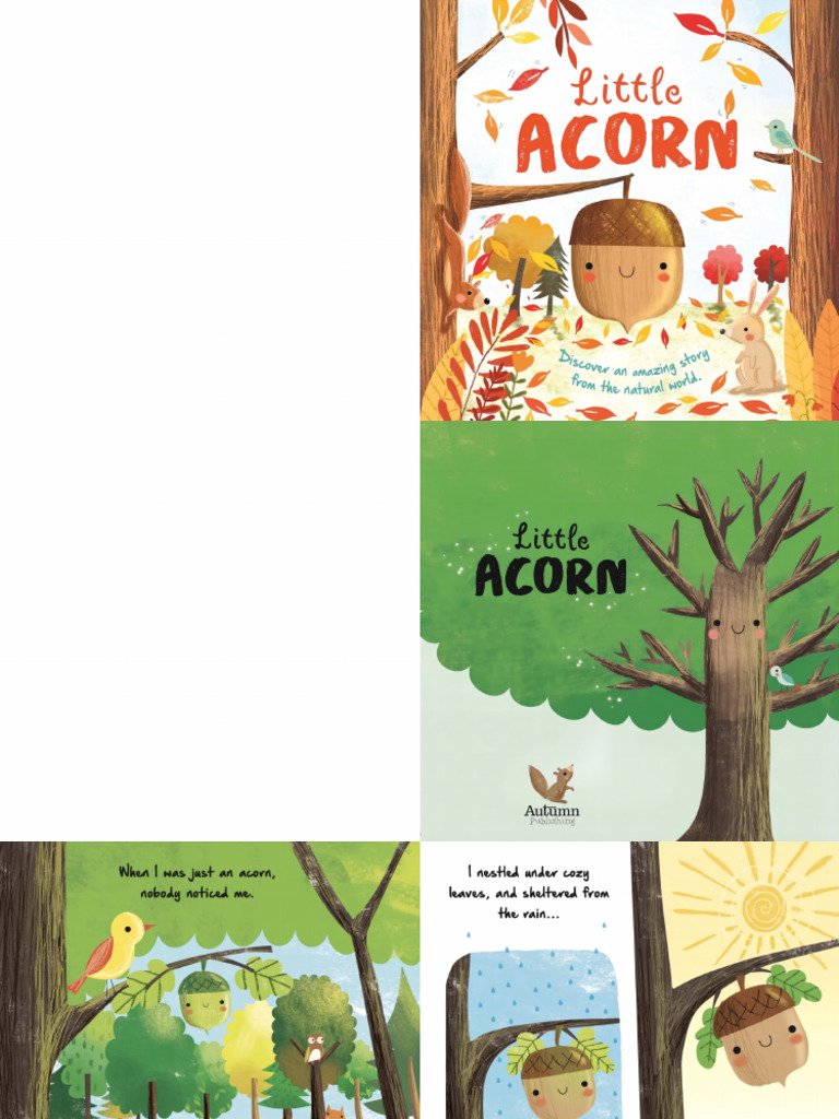 Little Acorn | PDF