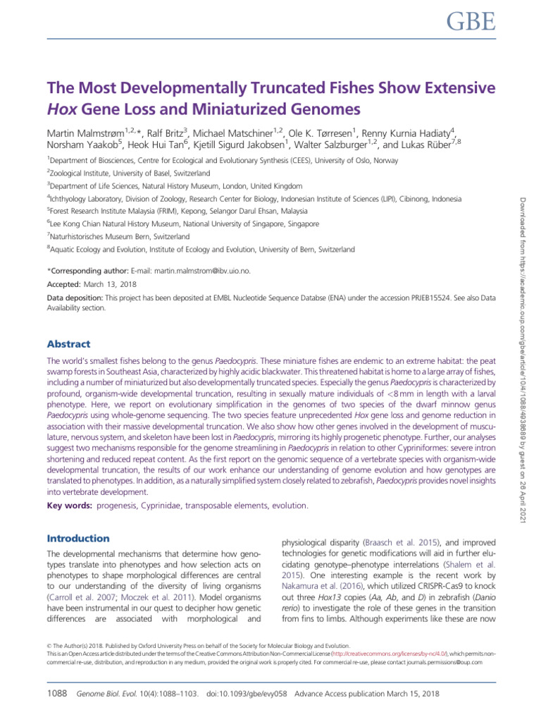 Malmstron et al. 2018.The Most Developmentally Truncated Fishes Show Extensive Hox Gene Loss and ...