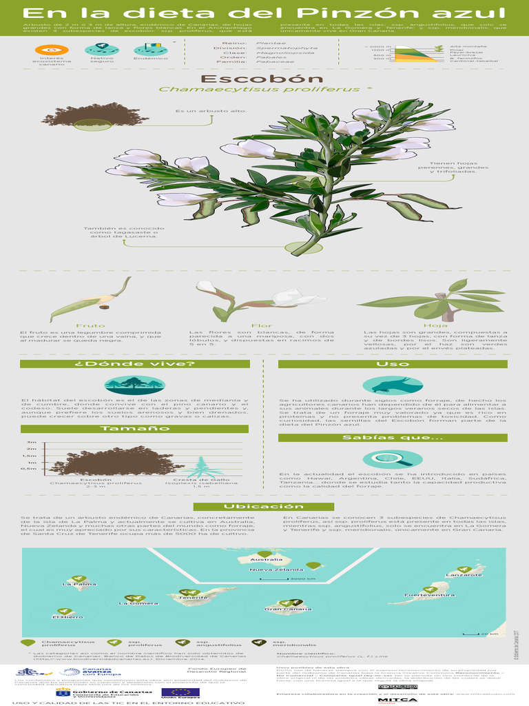 escobon | PDF | Plantas | Agricultura