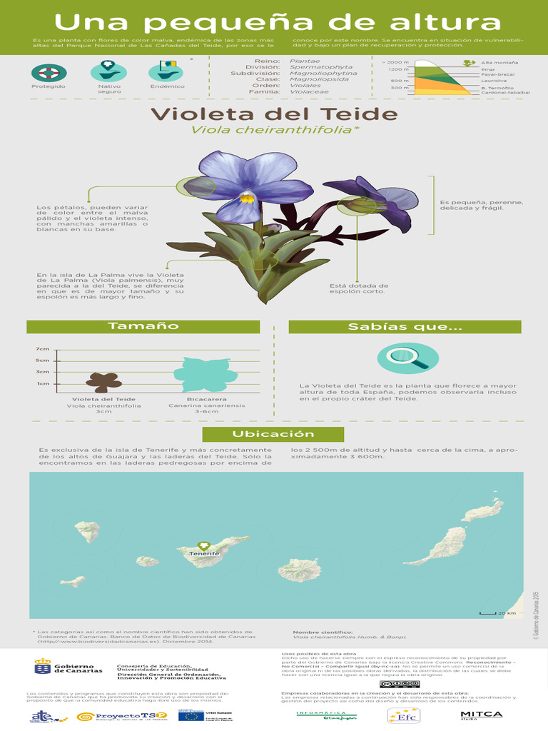 IA Violeta | PDF | Islas Canarias