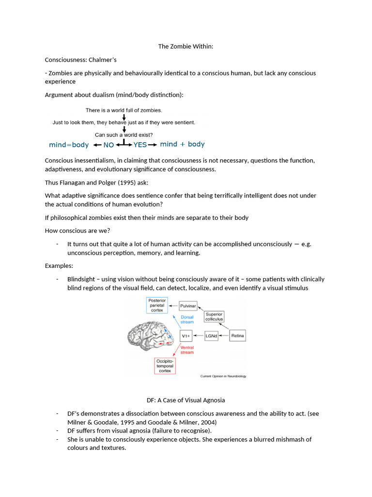 Lecture 15 The Zombie Within | PDF | Consciousness | Cognition