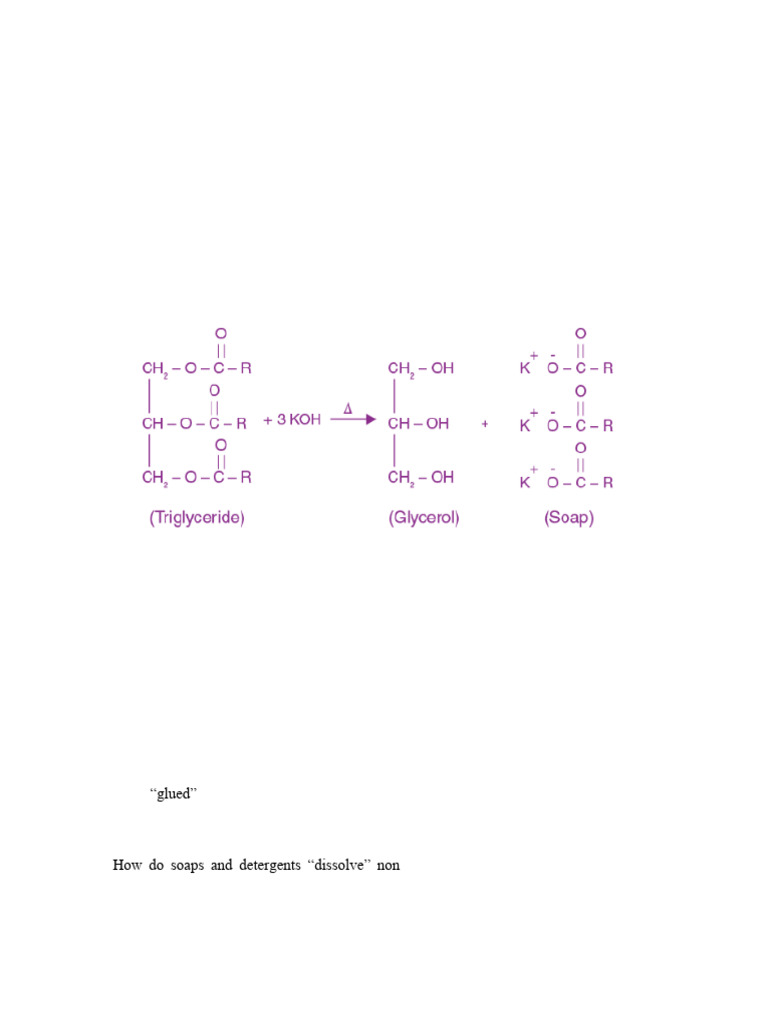Formation of Soap | PDF | Soap | Triglyceride