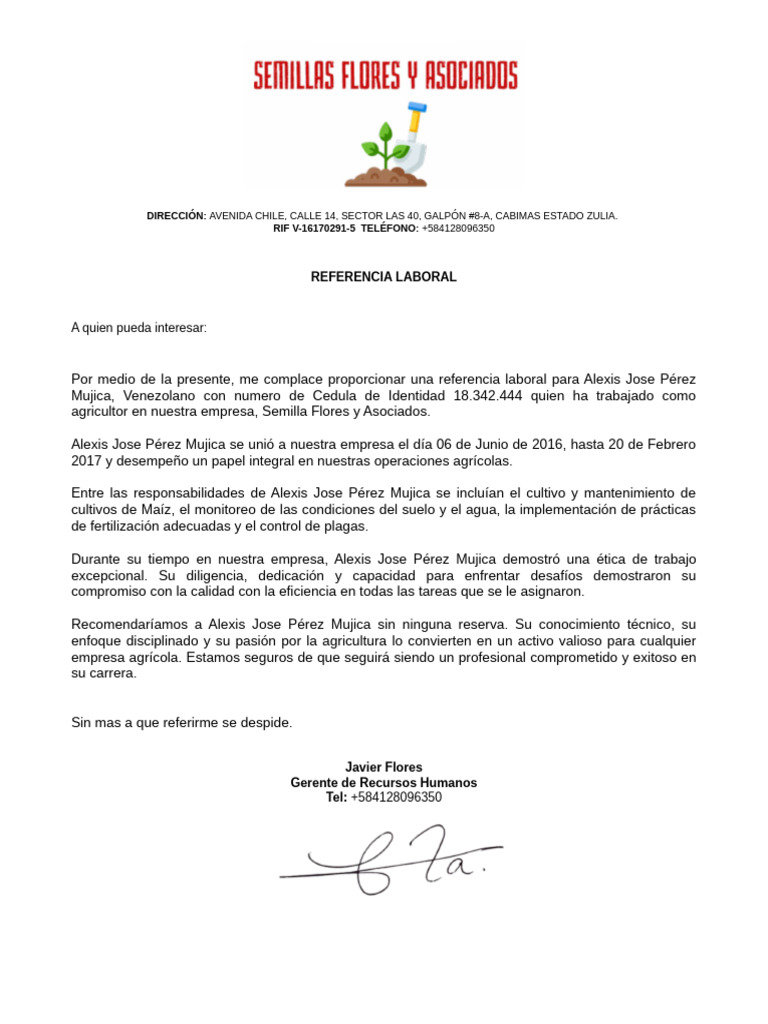 Referecia Laboral Alexis | PDF