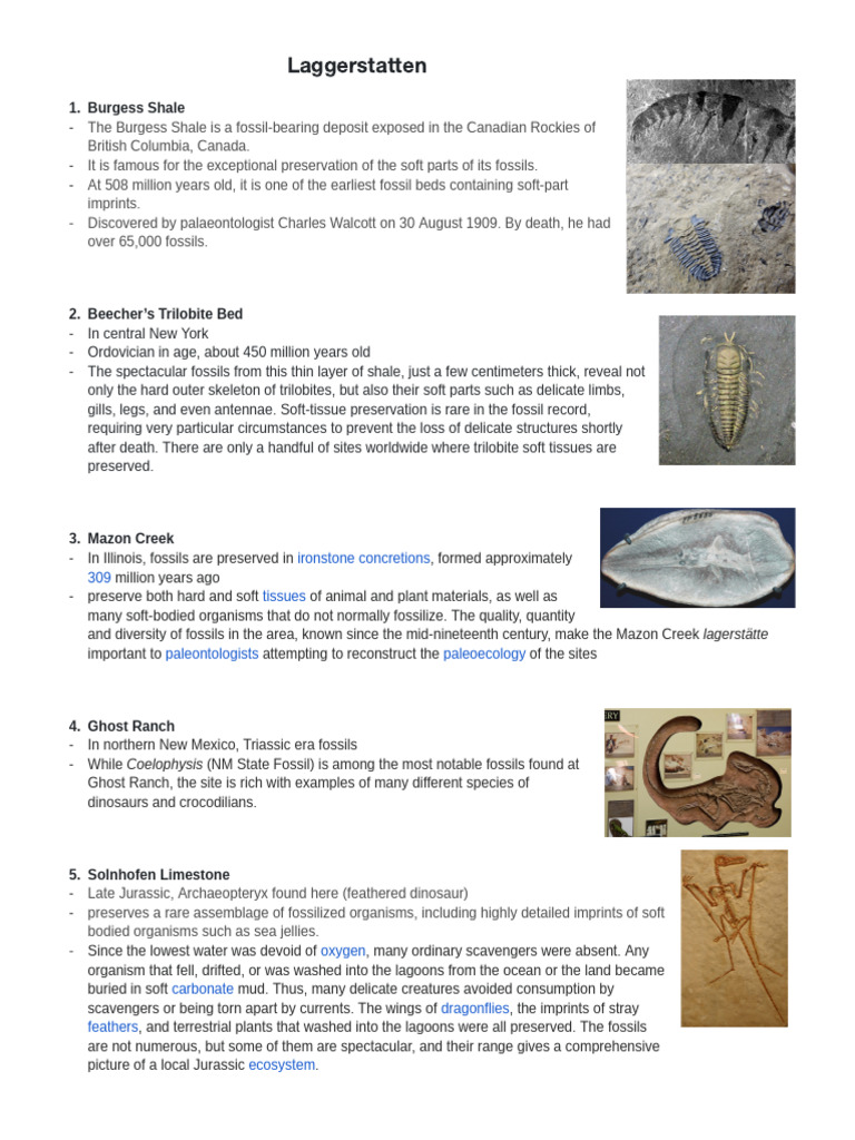 Fossils Lagerstatten Science Olympiad 2025 | PDF