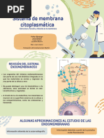 5 Trafico Vesicular | PDF | Biología Celular | Bioquímica