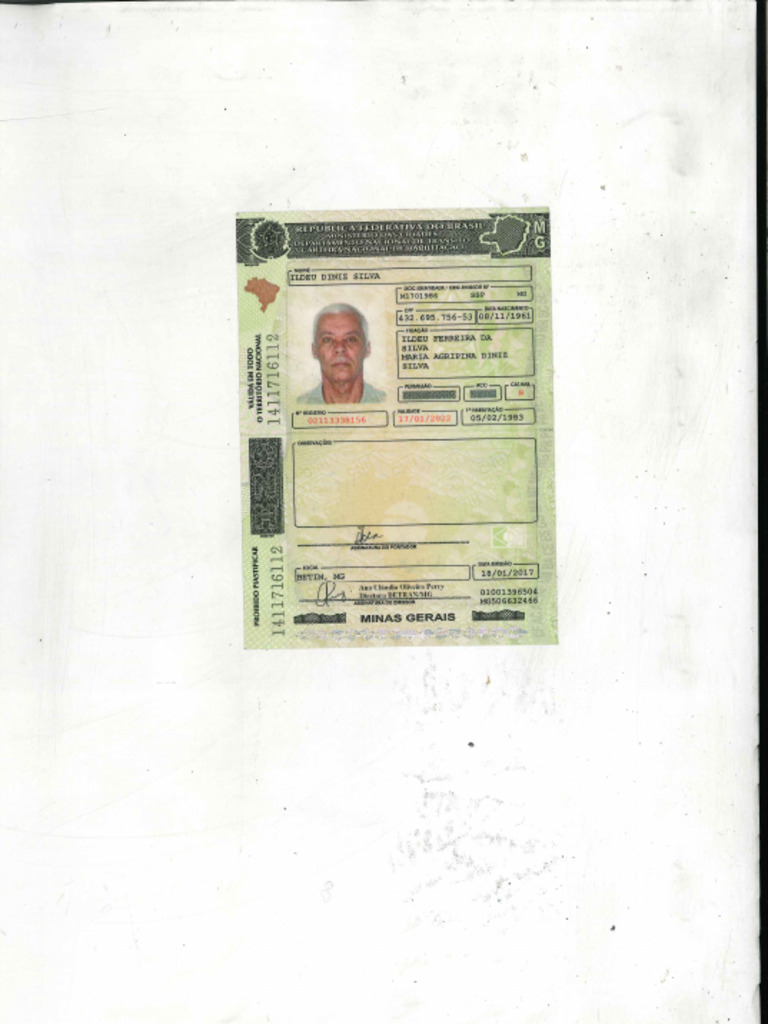 CNH - MG Modelo Novo | PDF