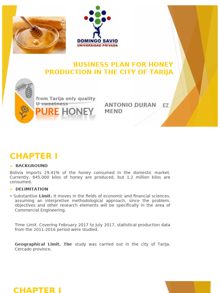 Business Plan Bee Honey | PDF | Beekeeping | Honey