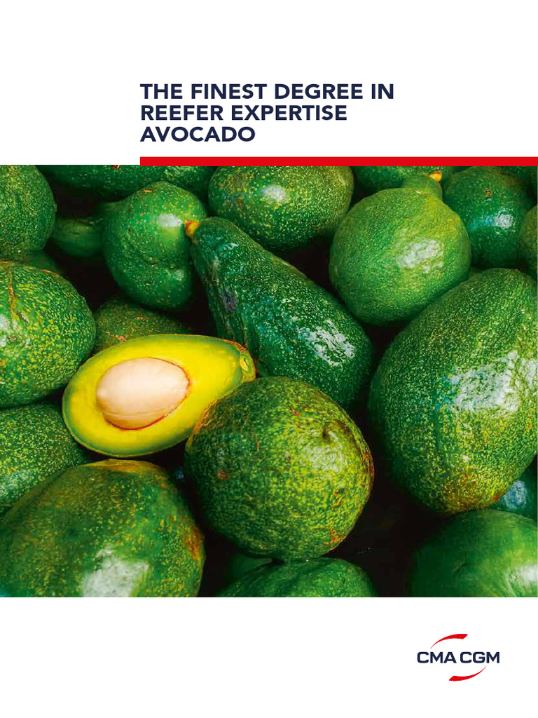 Fiche Fruit AVOCADO | PDF | Avocado