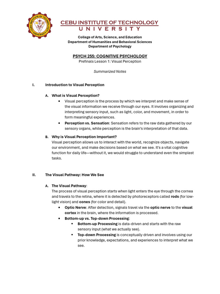 CogPsych PF Lesson 1 - Visual Perception - Notes | PDF | Visual ...