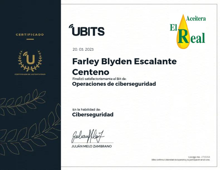 Operaciones de Ciberseguridad Certificado | PDF