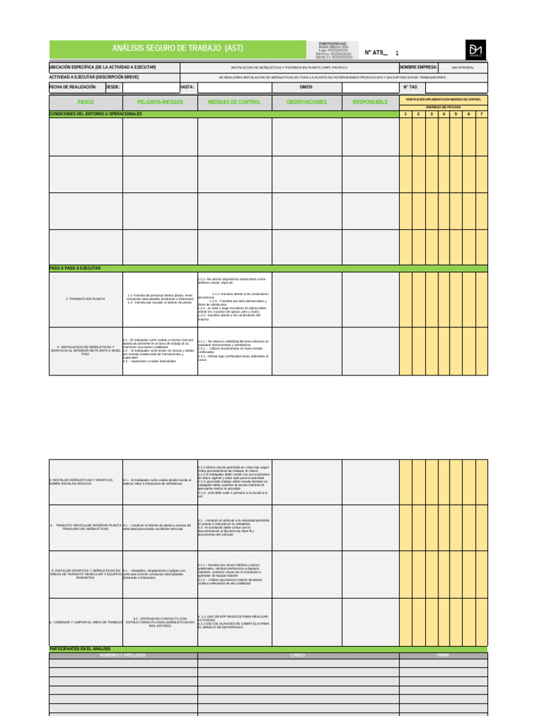 Formato AST - 2024 | PDF