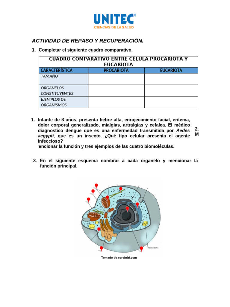 Actividades de Repaso para Final. PB | PDF | Biología Celular) | Adn