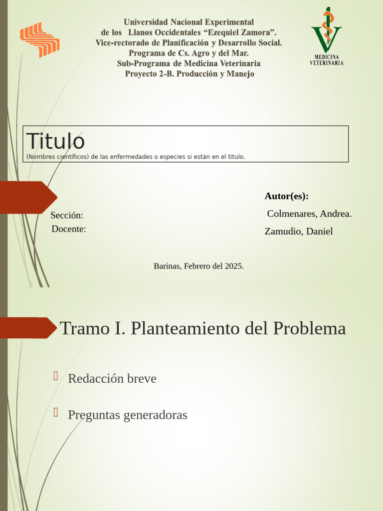 Modelo de Presentacion de Las Diapositivas Para MVproyecto2b 17 | PDF ... Modelo de Presentacion de Las Diapositivas Para MVproyecto2b 17 | PDF ...