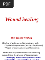 First vs. Second Intention Healing | PDF | Wound Healing | Scar