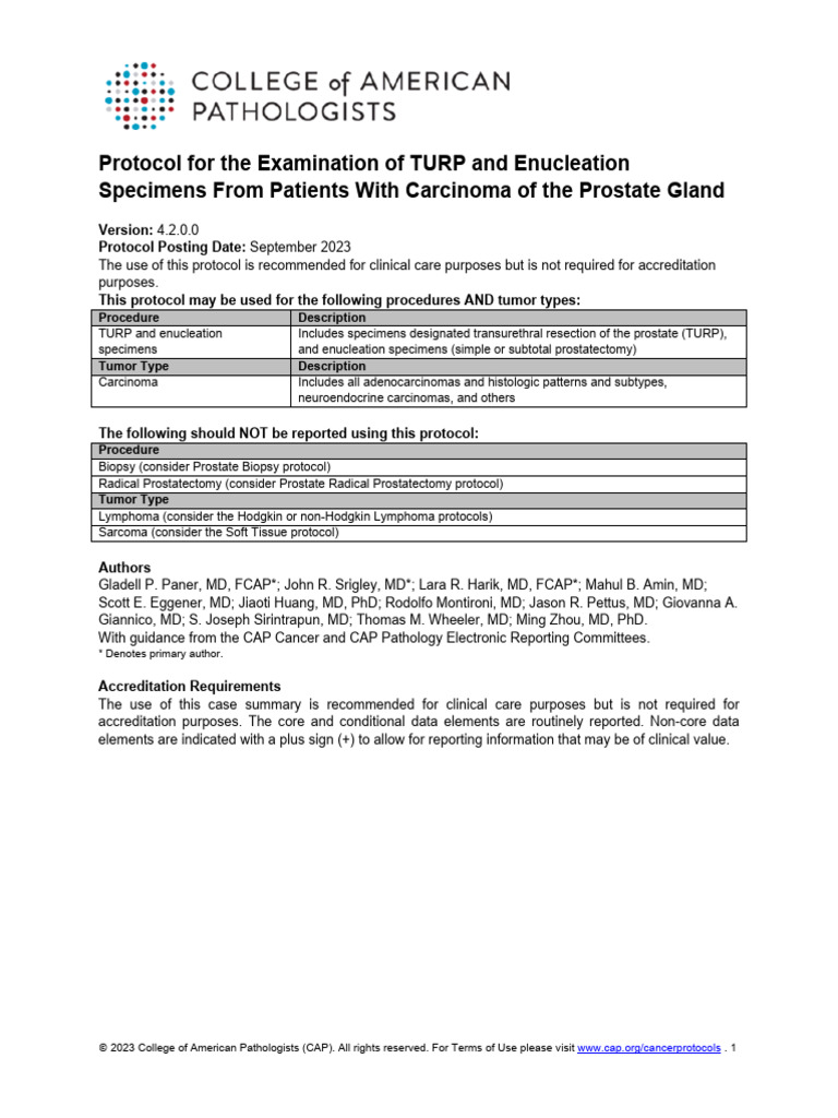 Prostate TURP Examination Protocol | PDF | Prostate Cancer | Carcinoma