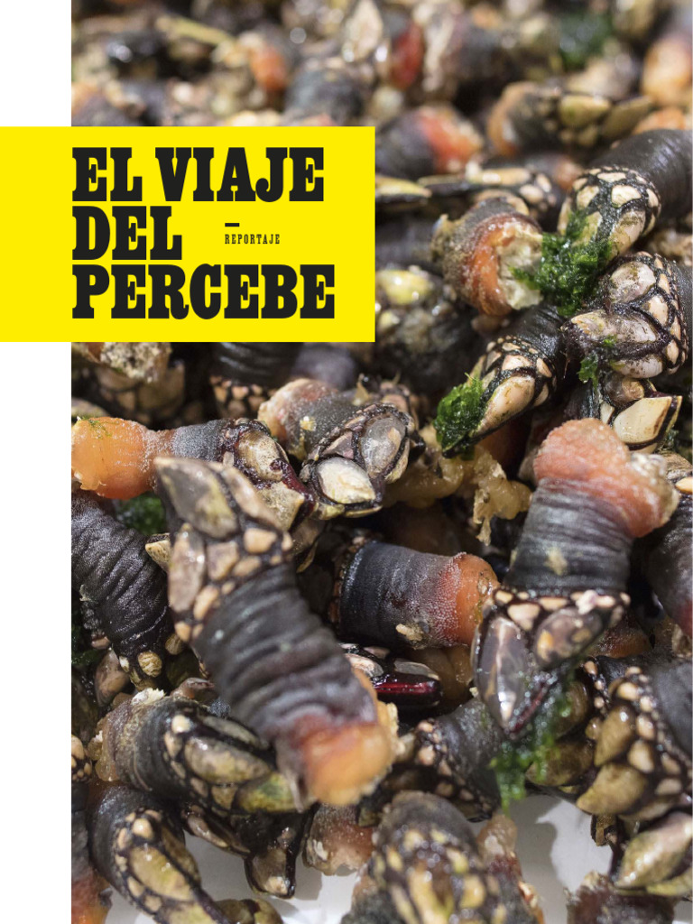 El Viaje Del Percebe (Reportaje) | PDF