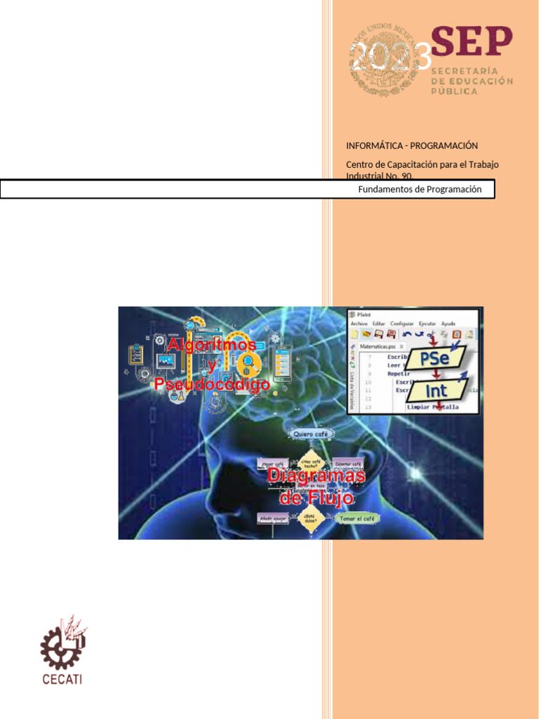 Manual Fundamentos de Programacion | PDF | Lenguaje de programación | Hardware de la computadora