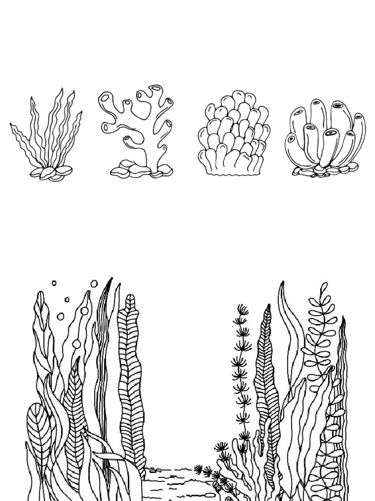 PDFReader 20241210 2253 | PDF