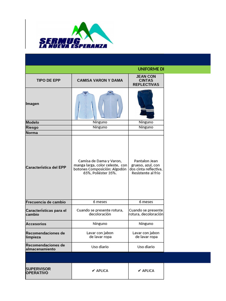 MATRIZ de EPP Por Puesto de Trabajo | PDF | Casco