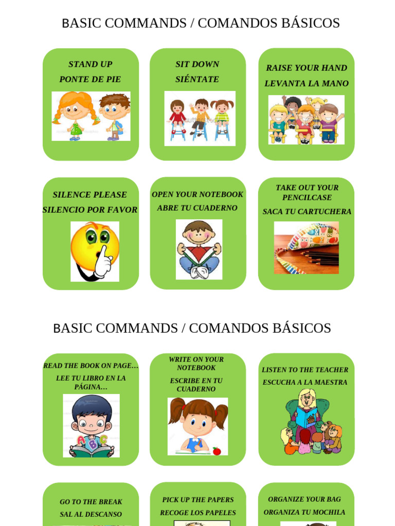 Basic Commands | PDF