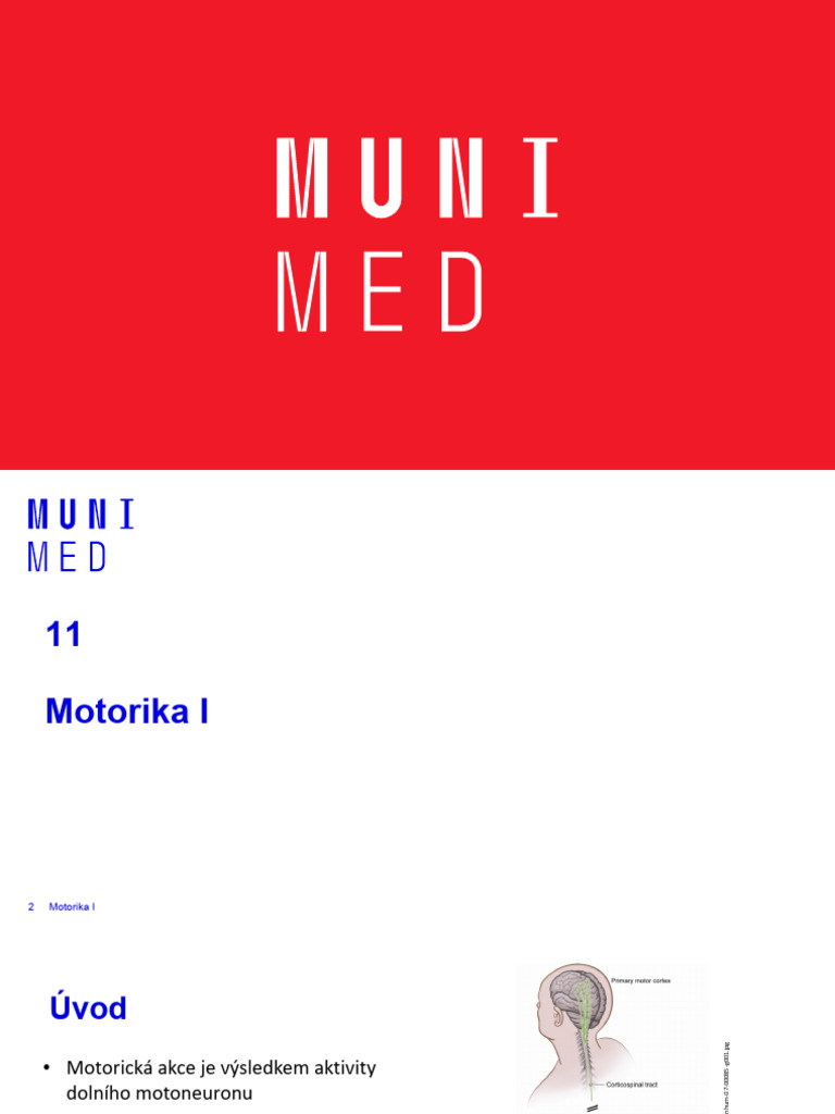 N11 Motorika I | PDF