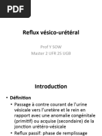 Syndrome de la Jonction Pyelo-Uréterale | PDF | Rein | Spécialités ...