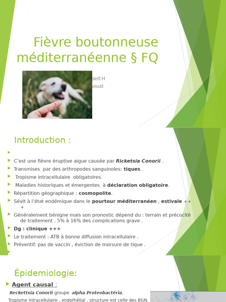 Fièvre boutonneuse méditerranéenne | PDF | Maladies et troubles | Médecine clinique