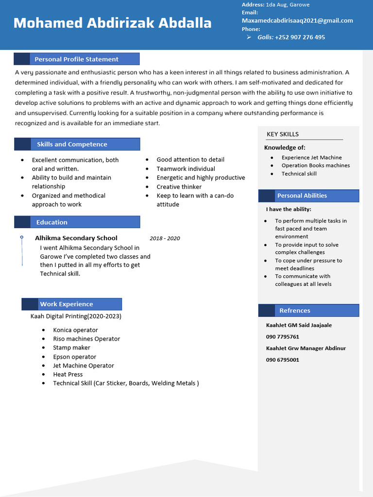 Mohamed Abdirizak CV | PDF | Cognitive Science | Learning
