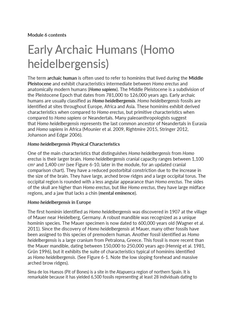 Early Archaic Humans: Homo heidelbergensis | PDF | Homo | Neanderthal