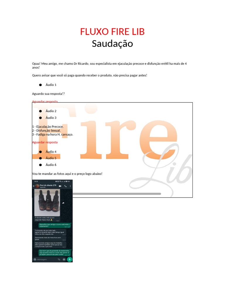 Sequêncina Do Fluxo | PDF