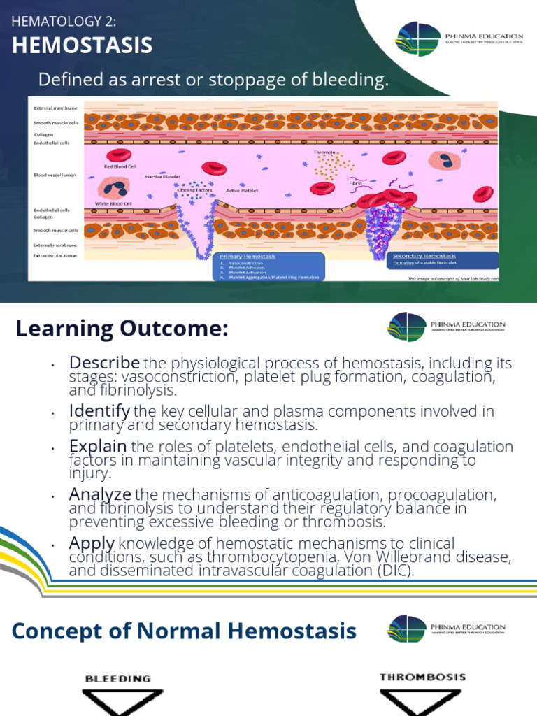 HEMOSTASIS For Student | PDF | Coagulation | Platelet
