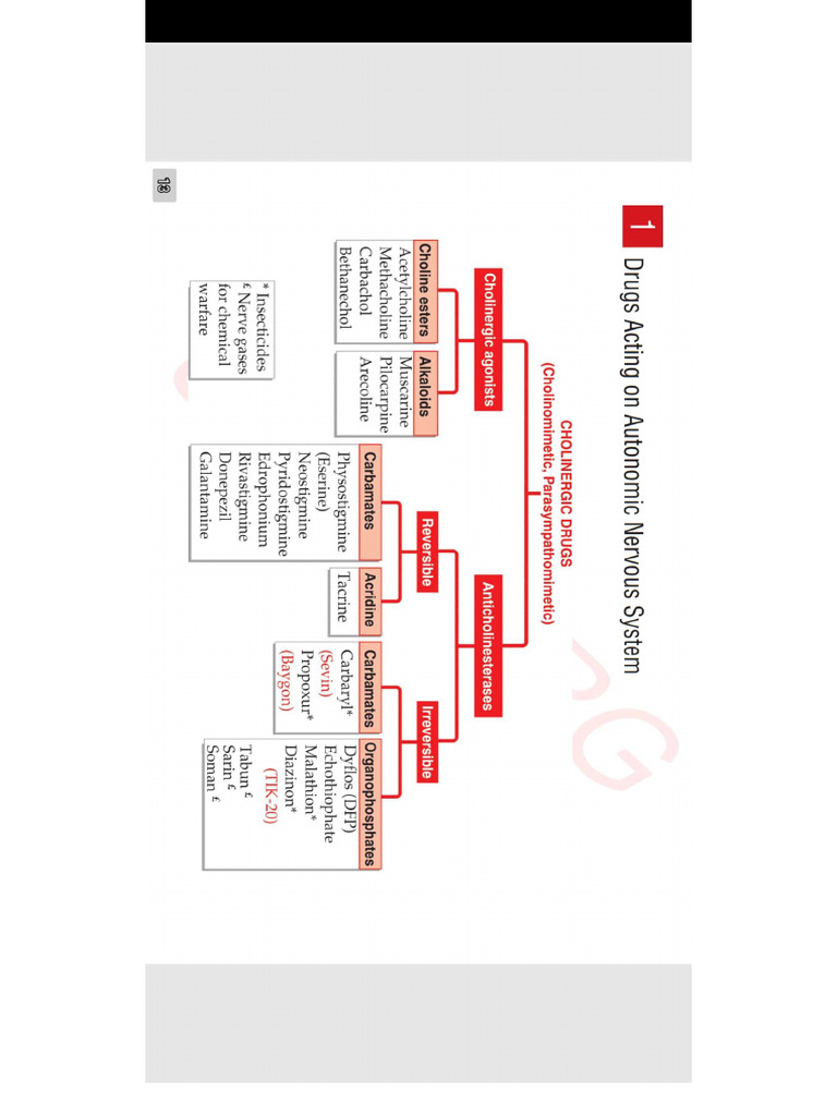 KDT Classification 1 | PDF
