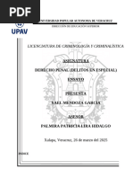 Portada Oficial Upav | PDF