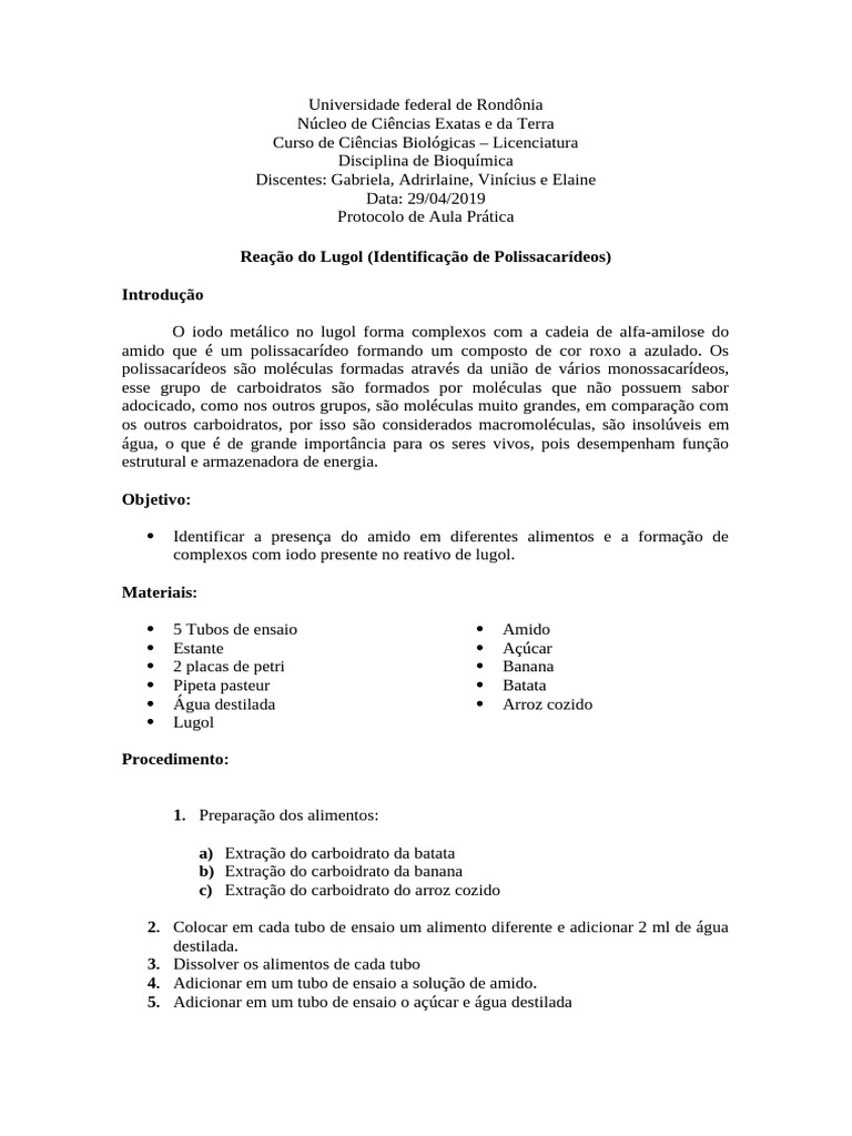 Protocolo de Aula Prática - Segunda | PDF