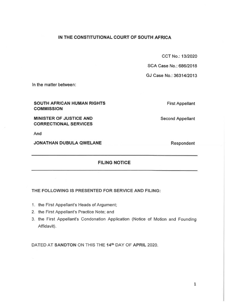 SAHR Heads of Argument | PDF