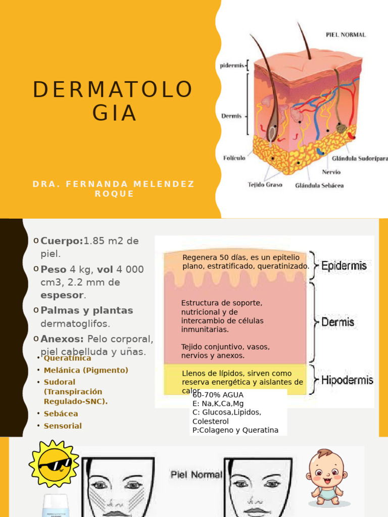 DERMATOLOGIA Resumen 1p | PDF | Piel | Dermatología