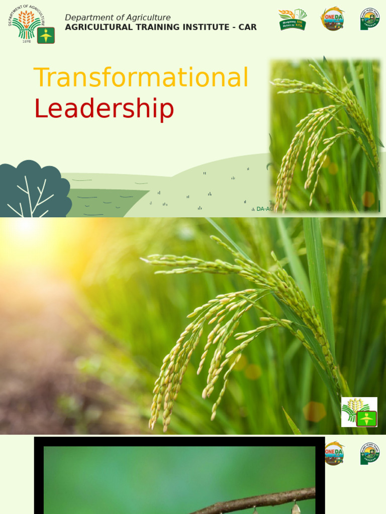 Transformational Leadership | PDF | Leadership
